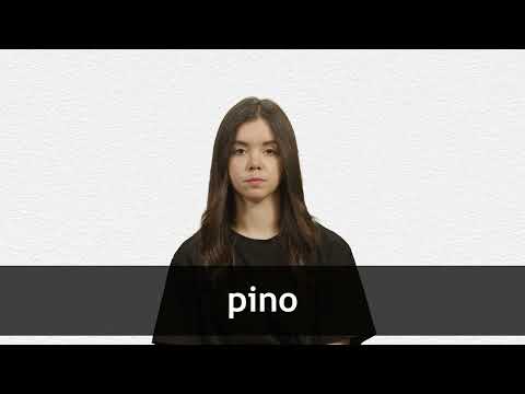 English Translation of “PINO” | Collins Spanish-English Dictionary