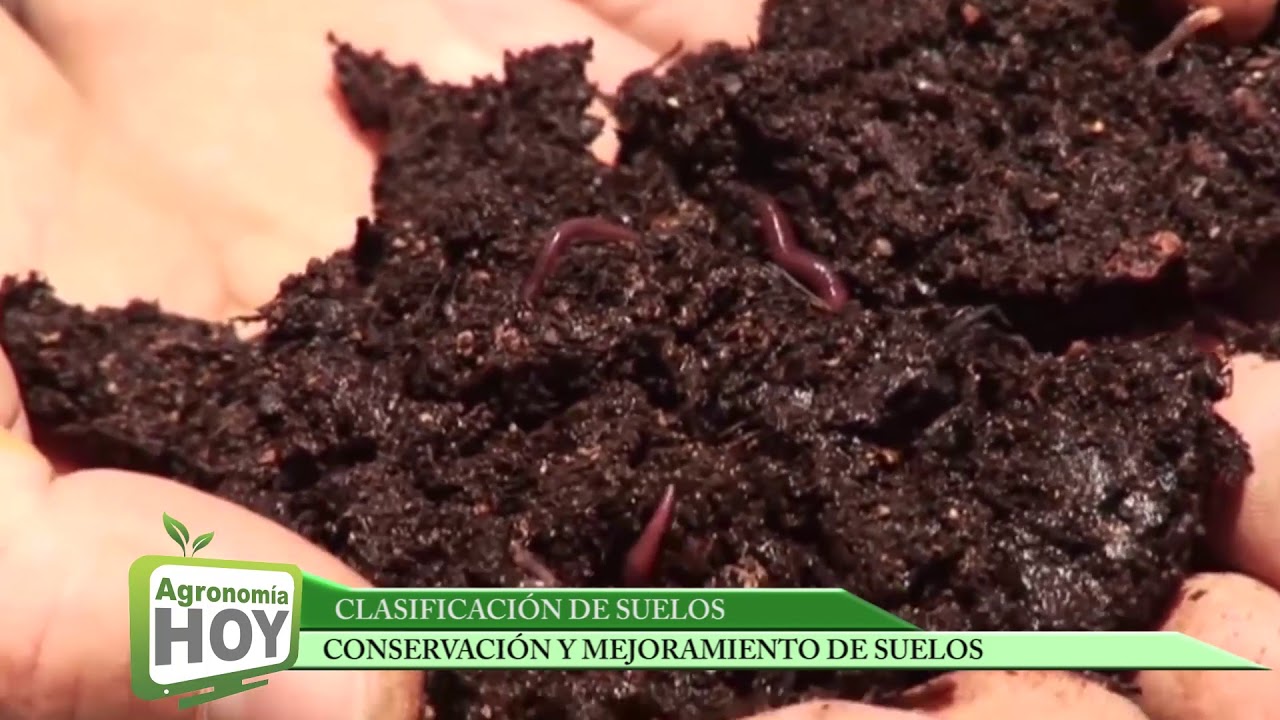 Programa Agronomía hoy 17/09/2017