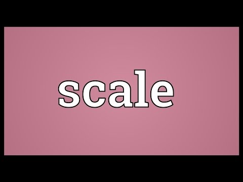 Scale Meaning