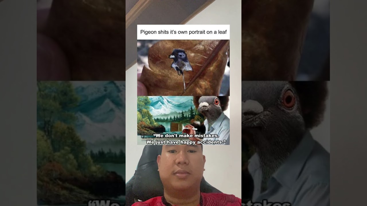 the best memes image of the day