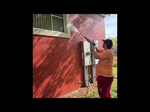 Transforming the Integrative Animal Hospital of Central Florida with Professional Pressure Washing