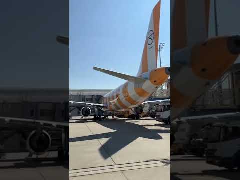 What do you call the new Condor livery #srflights