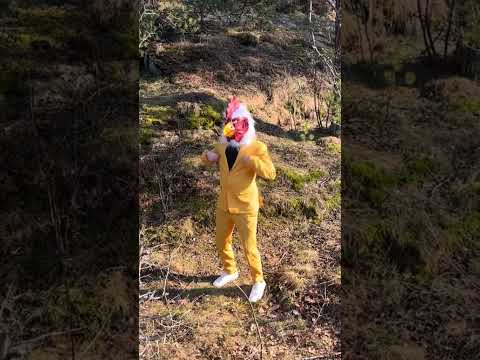 HÄÄRIJÄ becomes a chicken for KOT KOT 🐣 # Käärijä
