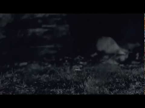 Bearer of Bad News - Blacktop Blues (Official Video)