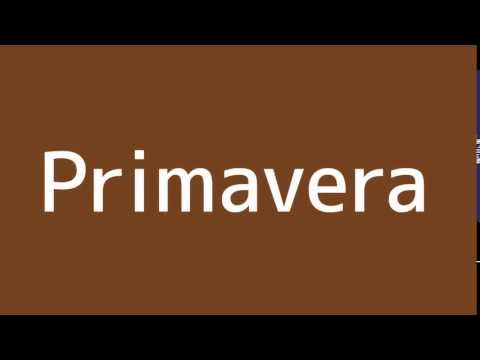 How to say Spring in Spanish