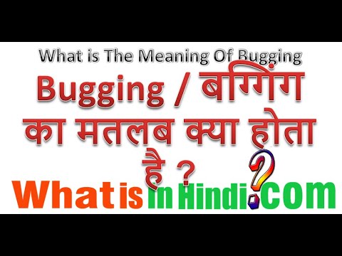 What is the meaning of Bugging in Hindi | Bugging का मतलब क्या होता है