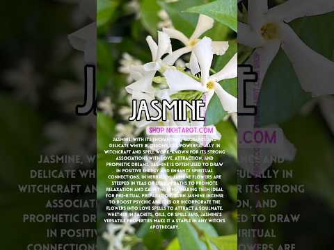 The Most Powerful Plants According to Witchcraft: Jasmine #witchcraft #foryou #spells #fypシ゚viral