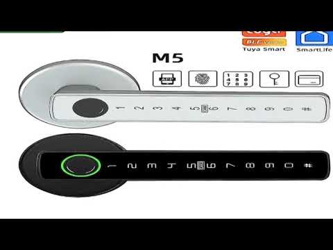 RAYKUBE M5 Tuya BLE Fingerprint Door Lock Digital Electronic Lock with Password/Key/IC Card/ Sm