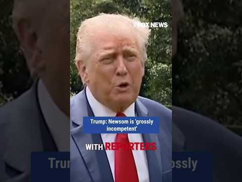 Trump calls out 'professional agitators' in LA riots #shorts #foxnews #news #usa #trump #losangeles