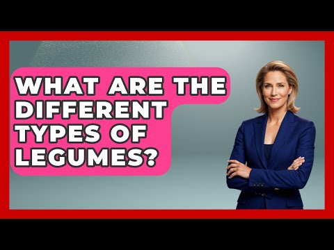What Are The Different Types Of Legumes? - Women's Health and Harmony
