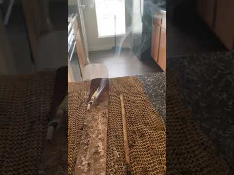 Reading Your Sage/Incense Smoke