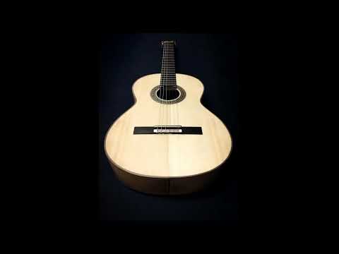 Benito Huipe Profesional Flamenco "Negra" Guitar 2023 - | Reverb