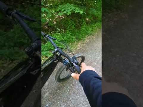 YT Industries Decoy brrrrrrr