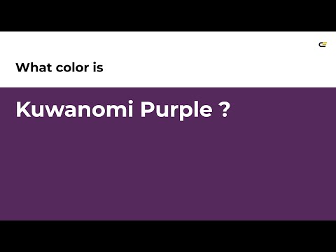 Kuwanomi Purple color #55295b hex color - Violet color - Cool color 55295b