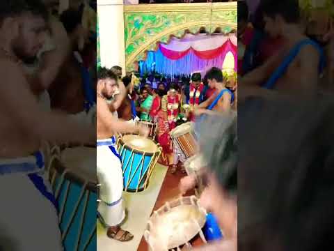 Marriage welcome program #couples #keralamelam #cheyyar #trending #marriage 7397263710,9840438682