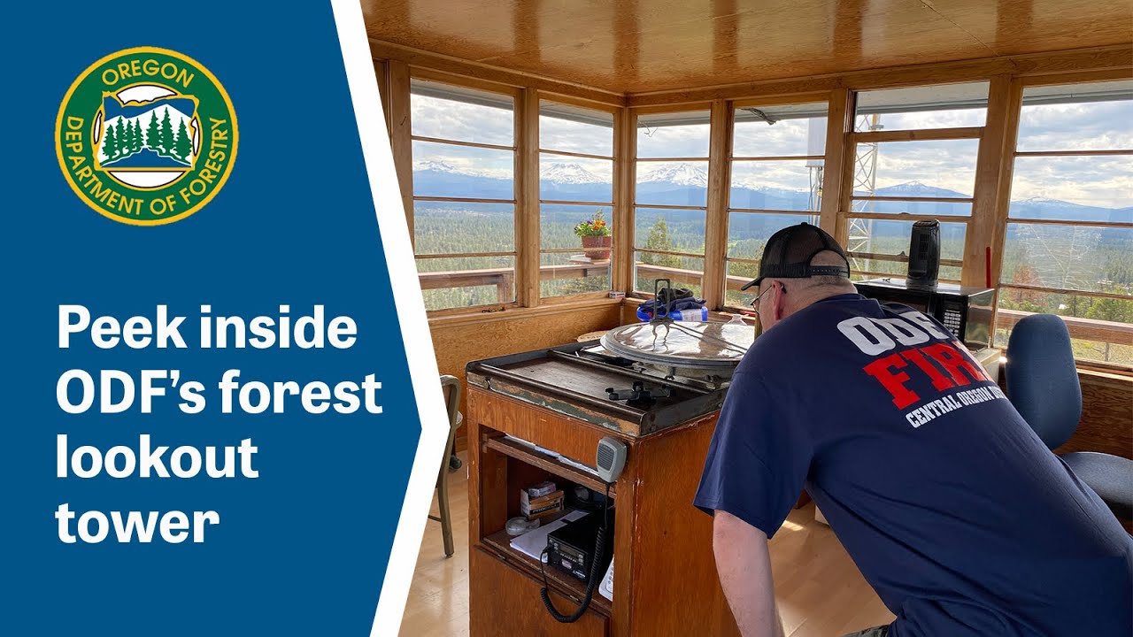 Peek inside ODF's forest lookout tower