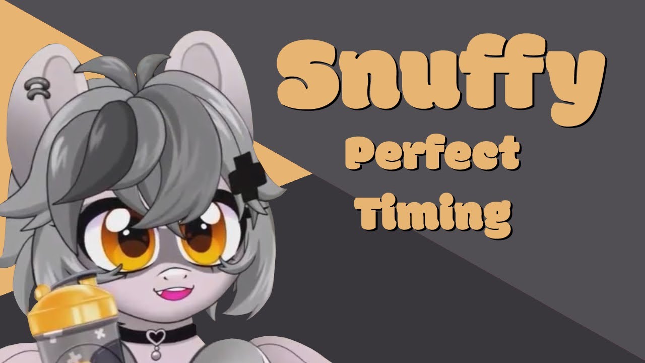 Snuffy Perfectly Timed Donation