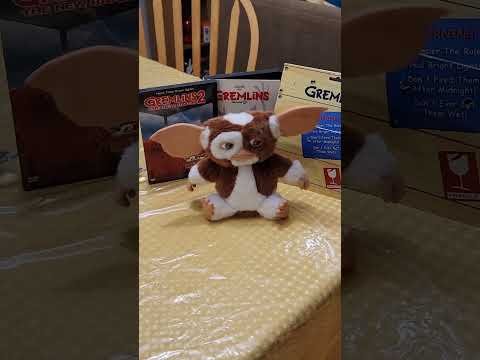 It's about that Gremlin time of year! Be good to your Gizmo! #Gizmo #gremlins #Halloween