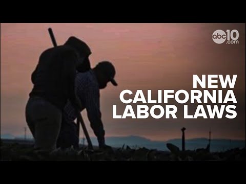 New California Laws | State minimum wage rising to $15.50/hour