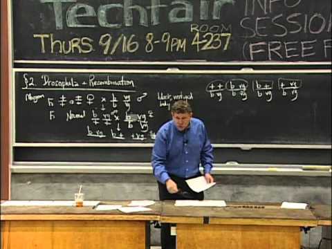 Linkage and Recombination, Genetic maps | MIT 7.01SC Fundamentals of Biology