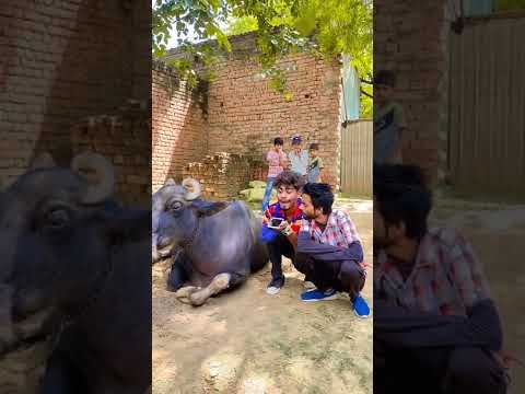 Ola gu khale khale tu song | Sagar Pop02 New Tik Tok Viral Video #shorts #shortvideo