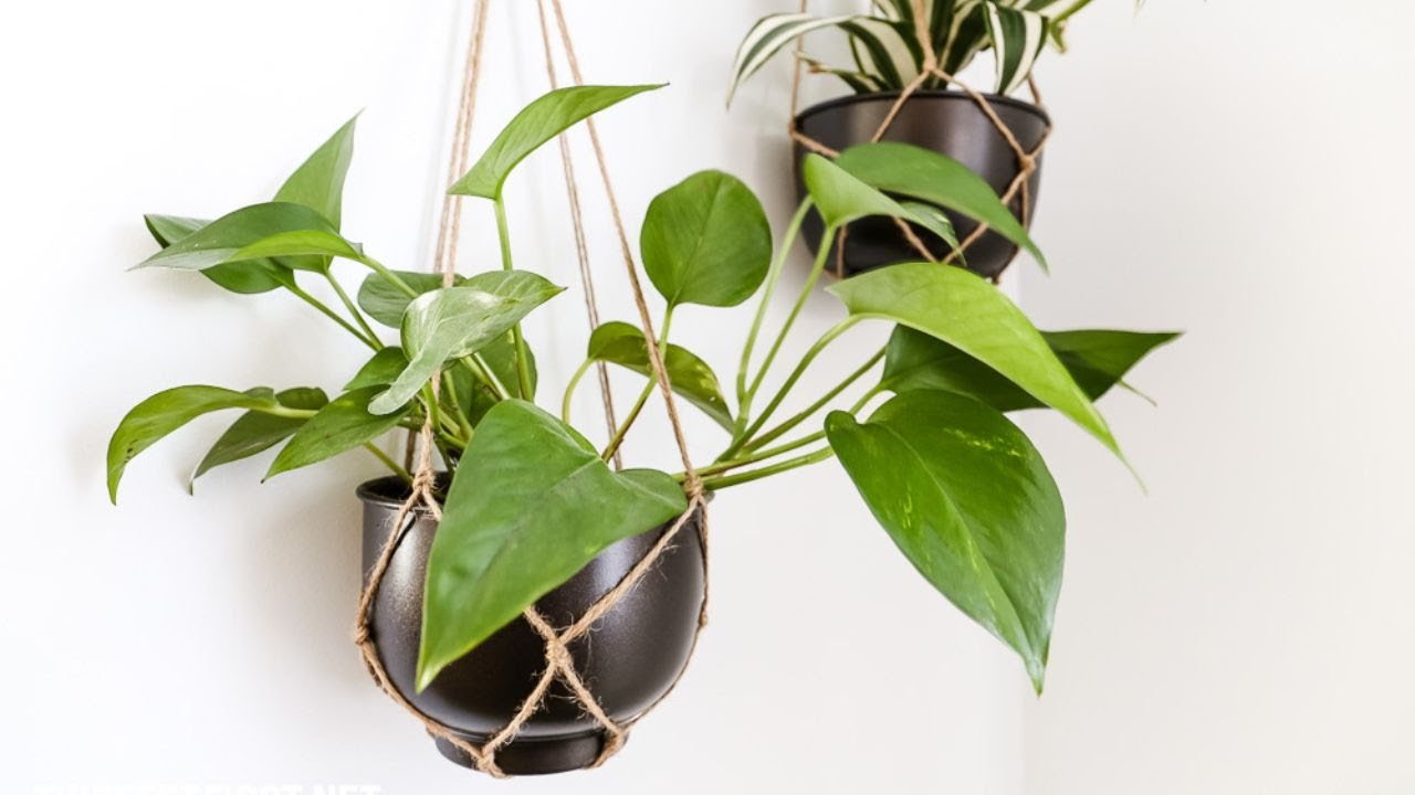 DIY Hanging Planter Tutorial || Hanging Macrame Rope Planter