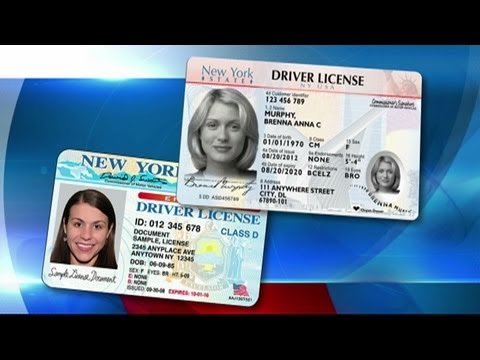 New York licenses to get new look