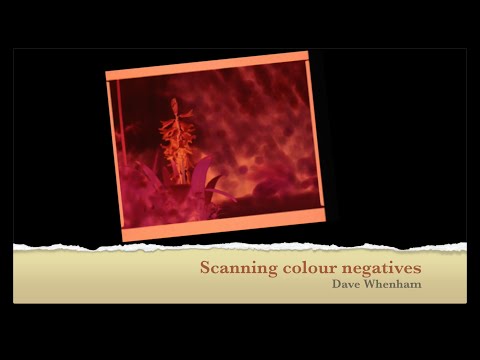 Scanning colour negatives – Dave's Place