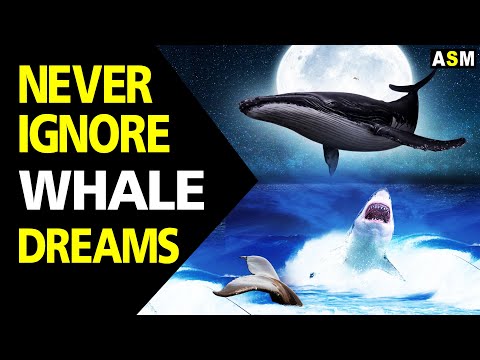 What does Whale dream meaning | Dreaming of Whale | Whale dream interpretation