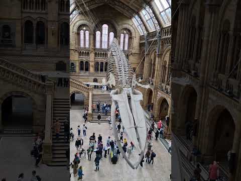 Natural History Museum London
