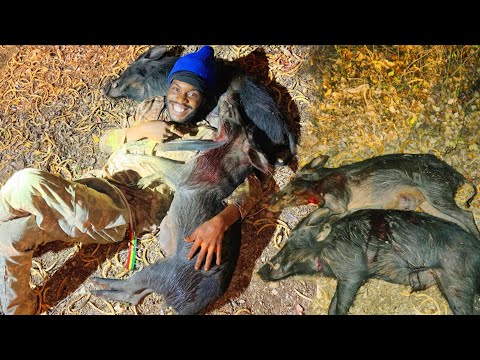 WILD HOG JACKPOT!! | New hunting spot |Boar hunting on remote island for the first time