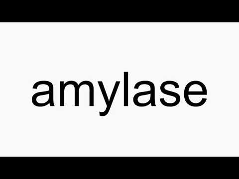 How to pronounce amylase