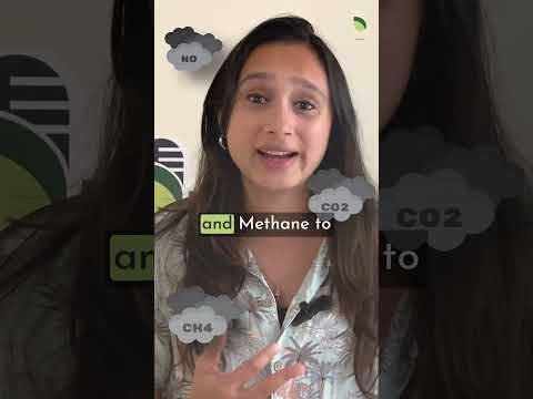 What is Carbon Footprint? π π¦ΆπΏ