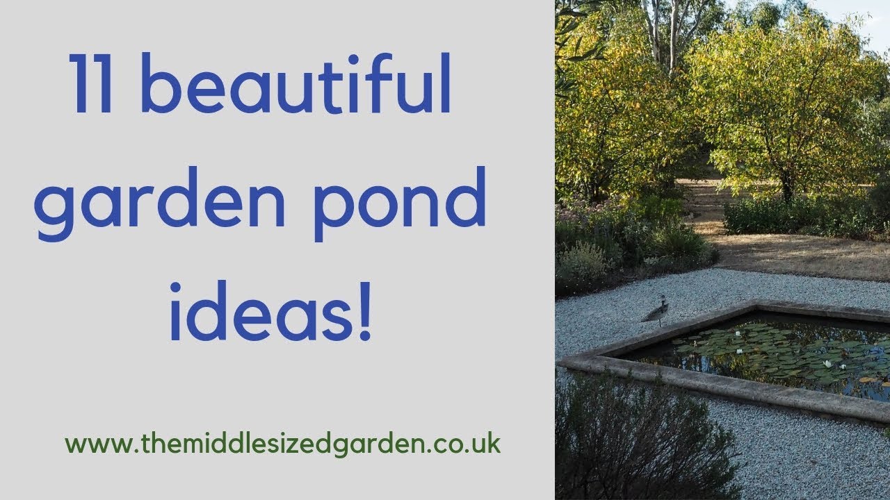 The best garden pond ideas - from private, famous and show gardens