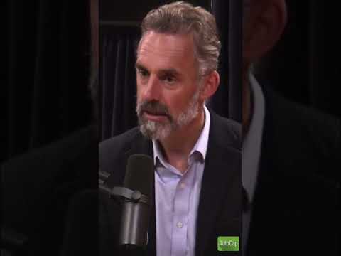 Jordan Peterson on the instinct of meaning #shorts #motivation #subscribe #jordanpeterson #like