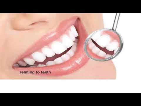 dental meaning | Vocabulary for Kids | Children's Dictionary | Learn English Vocabulary