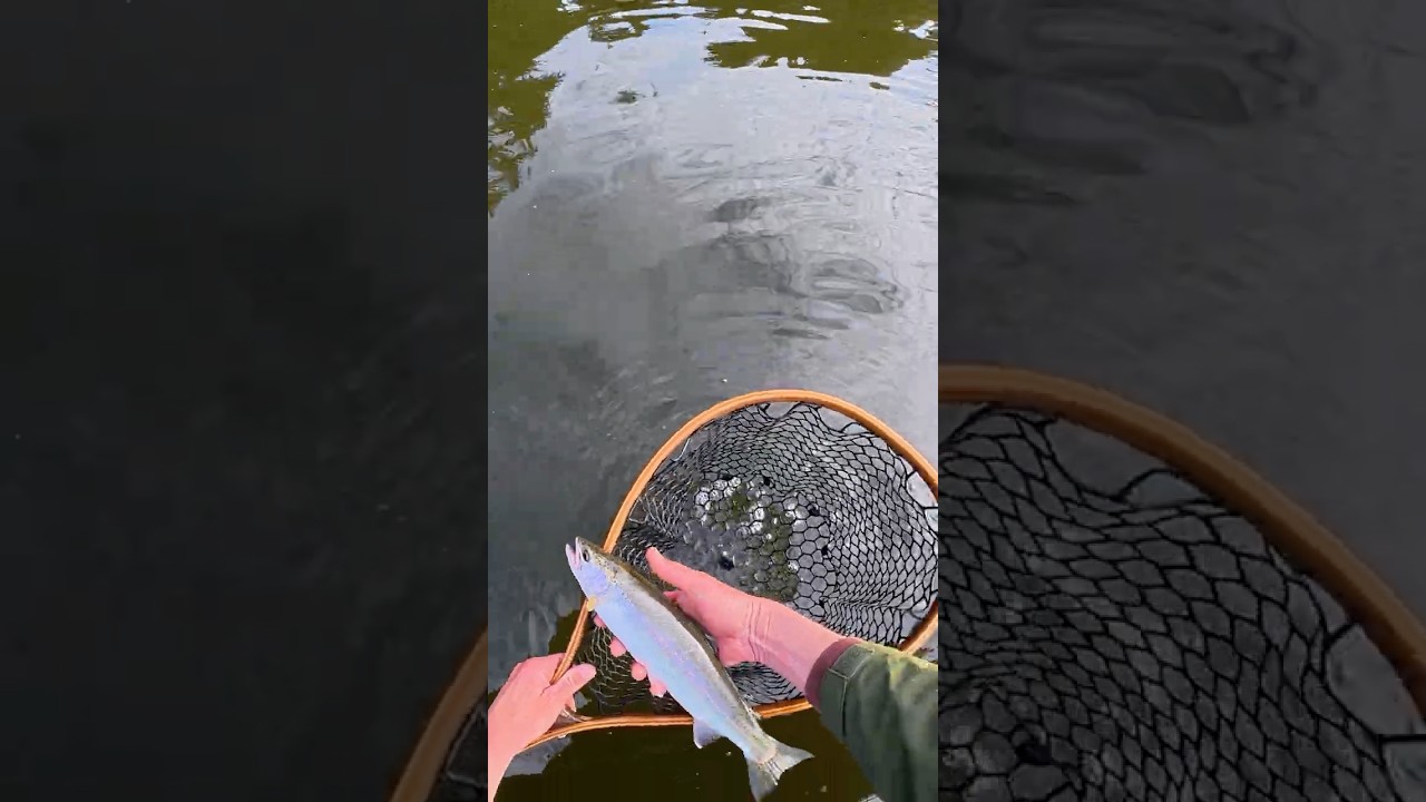 Steelhead Fishing in a Pacific Northwest Lagoon  Wild Chrome Chases