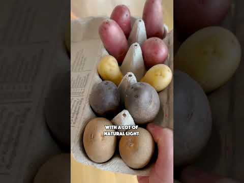 How to grow your own potatoes at home ????