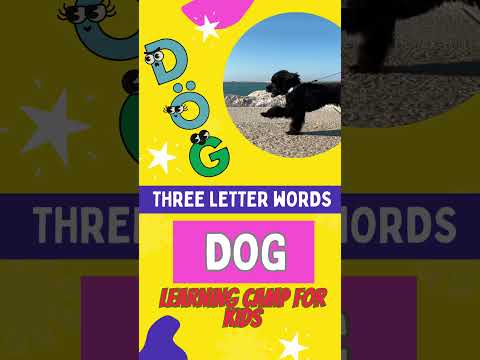 Three Letter Words Dog #learningcampforkids #viral #short #shorts