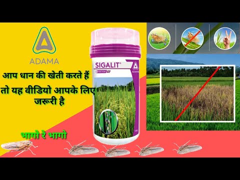 Adama Insecticides - Latest Price, Dealers & Retailers in India