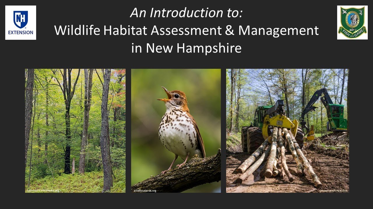 Intro to Wildlife Habitat Assessment & Management