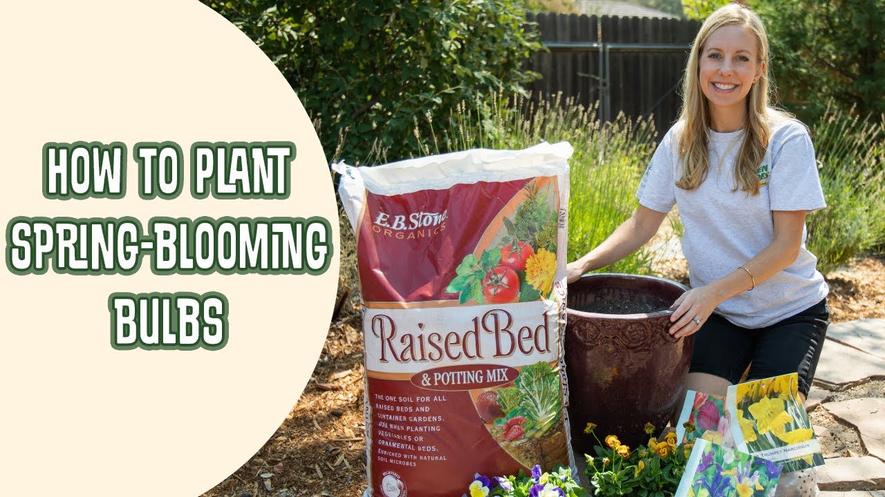 How to Plant Spring-Blooming Bulbs