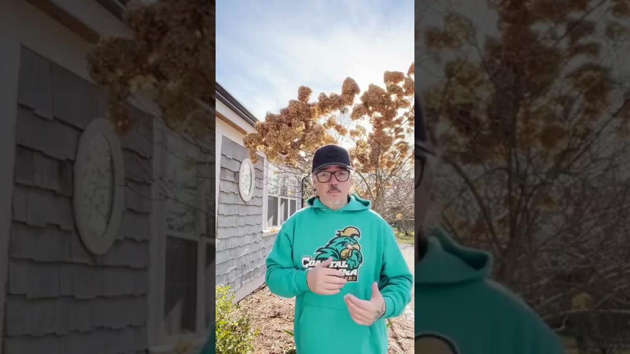 What does a VA appraiser look for?