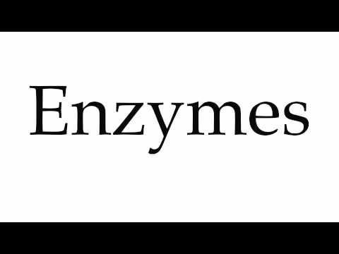 How to Pronounce Enzymes