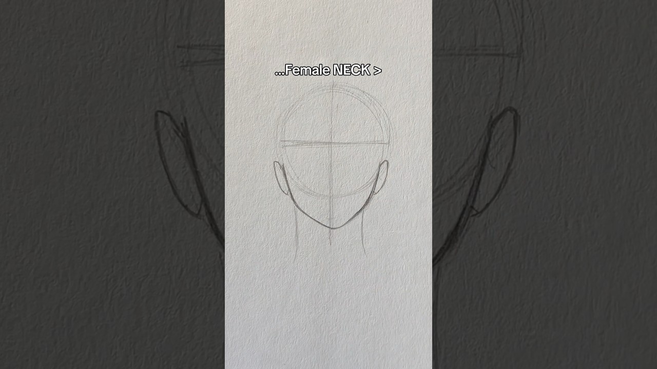 Male NECK vs Female NECK
