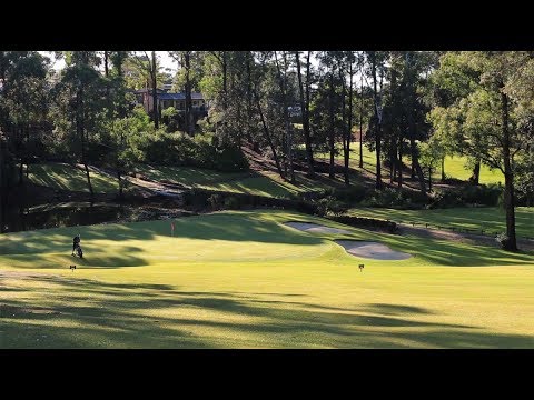Genesis Golf Link Cup Feature Club: Mollymook GC