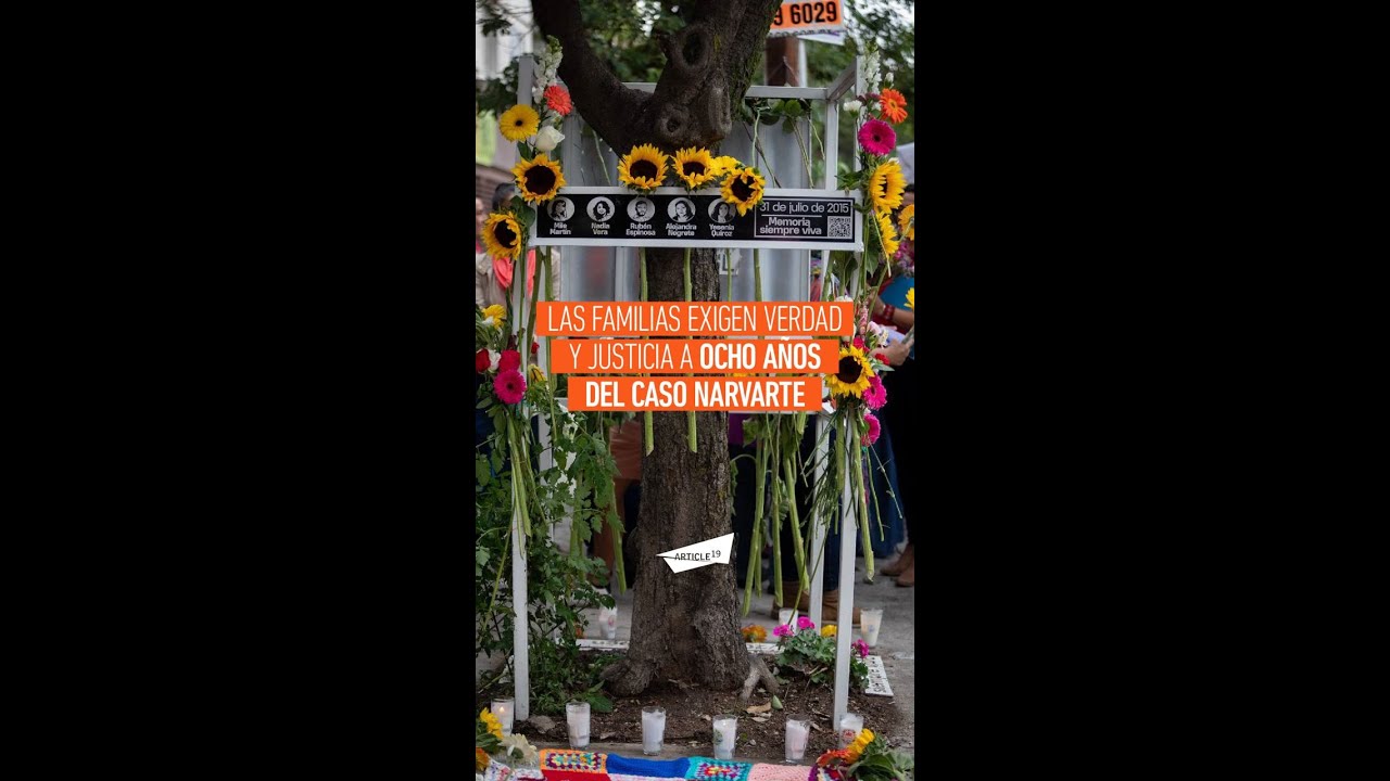 Inicio - Artículo 19