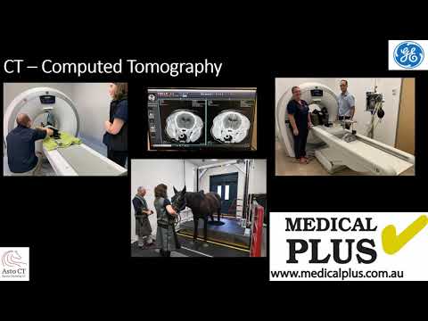 Medical Plus Australia