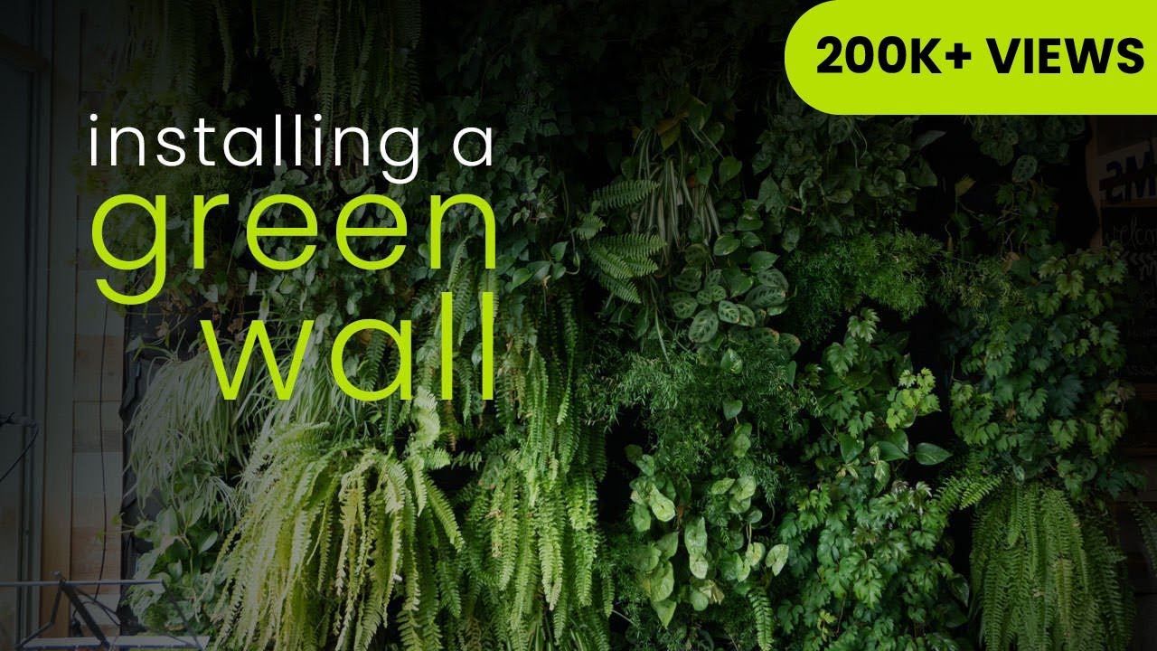 Installing A Green Wall