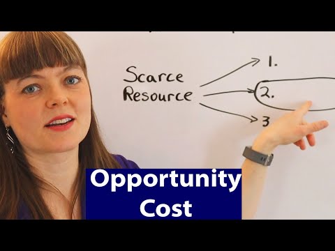 Opportunity Cost